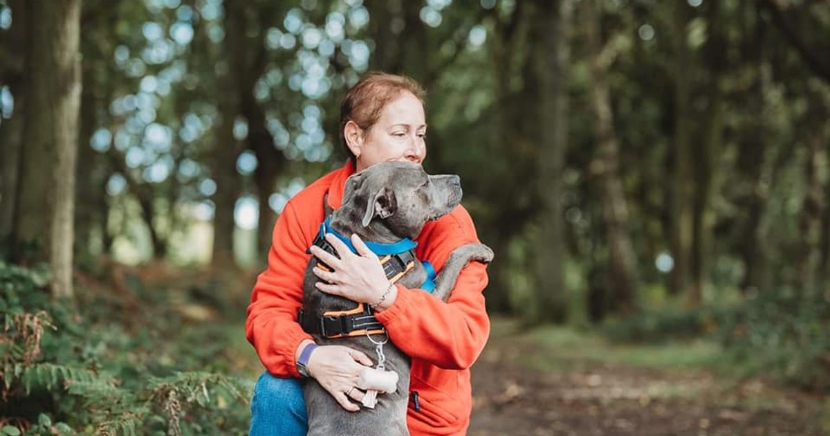 Alternative chewing treats for dogs with an Epulis | Dog First Aid