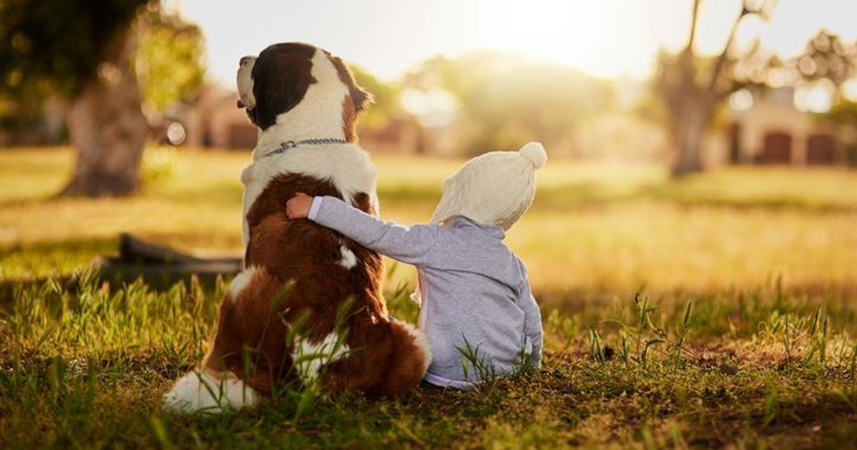 Children, dogs and mental health | Dog First Aid